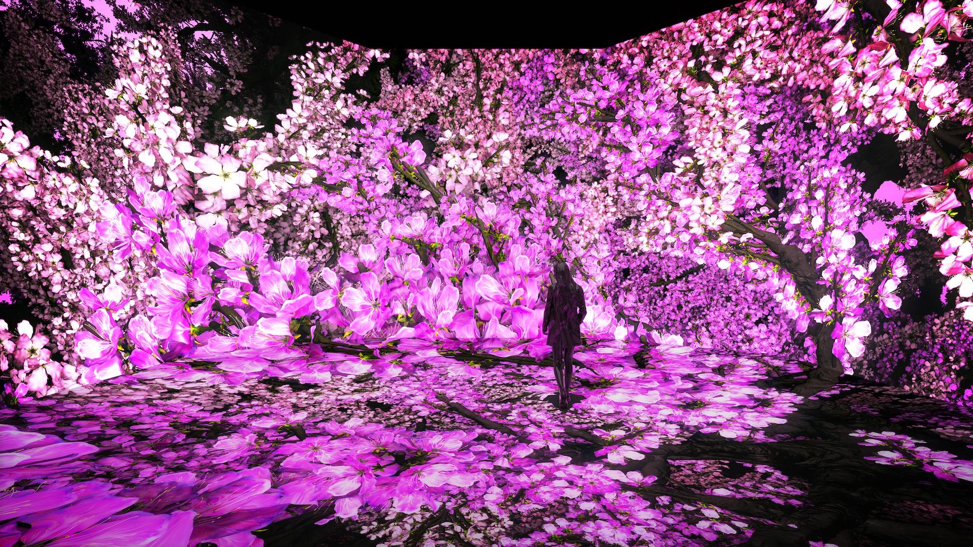 ARTECHOUSE PRESENTS PIXELBLOOM — ITS FIFTH ANNUAL CHERRY BLOSSOM ...