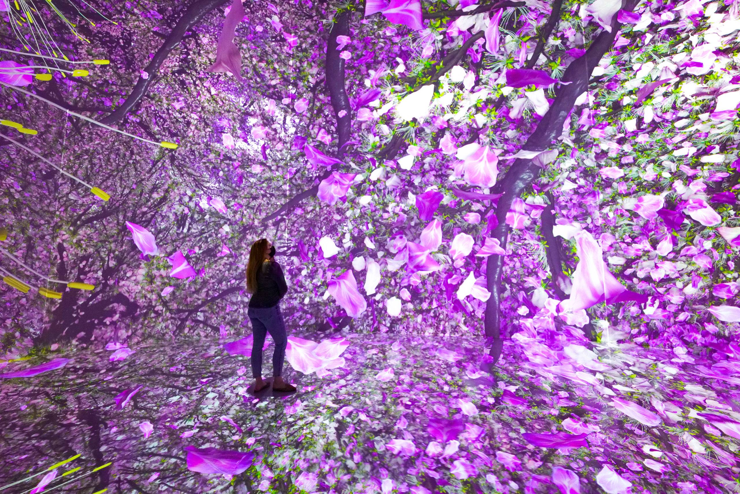 PIXELBLOOM | ARTECHOUSE